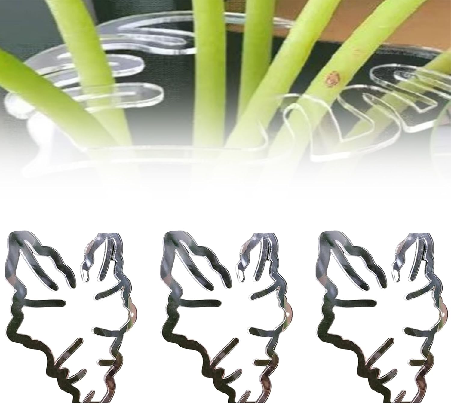 Amazon.com: BRIFEEL Turtle Shell Bamboo Clamp Set, Monstera Plant ...