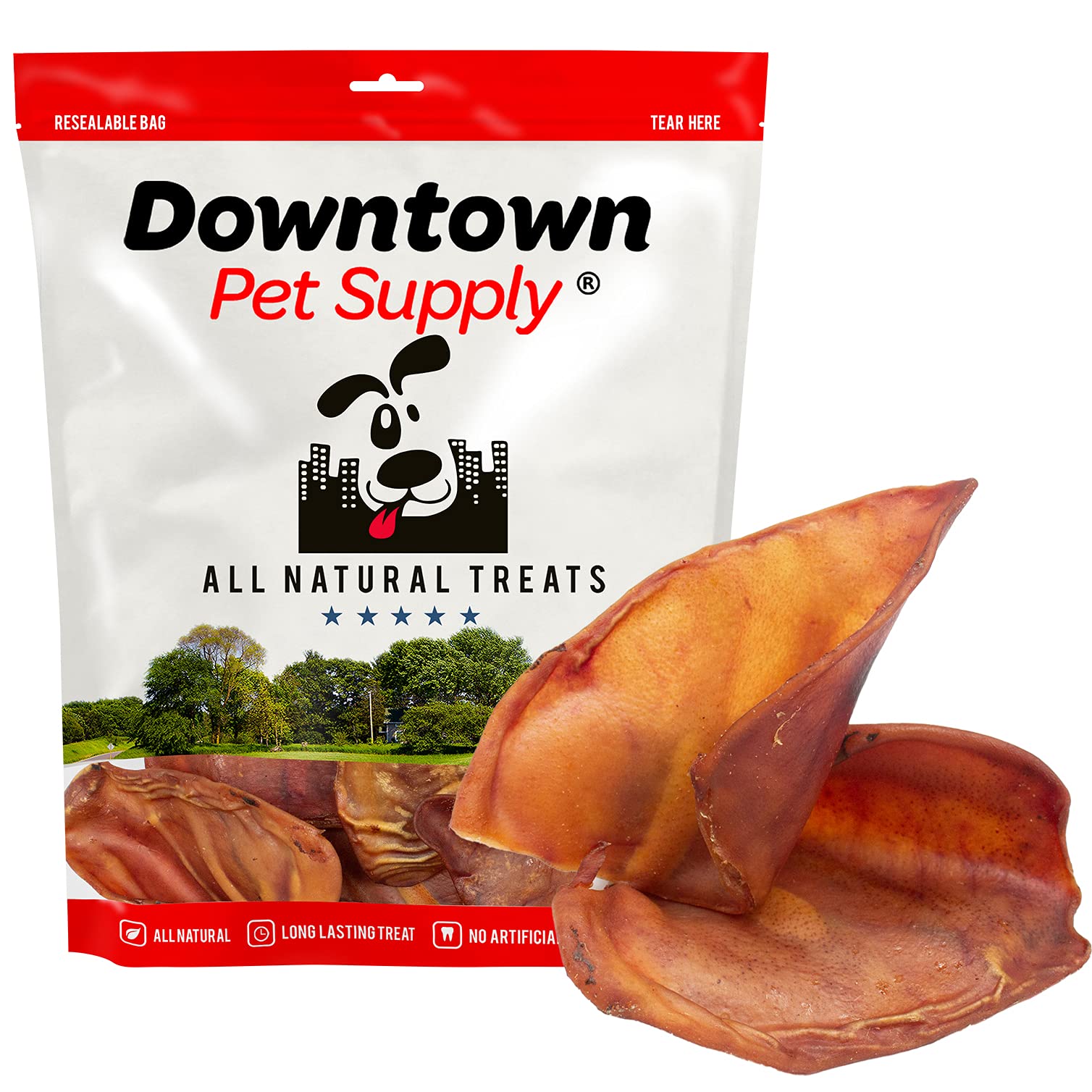 Are Pig Ears Better For A Plummer Terrier Than Rawhide Ears