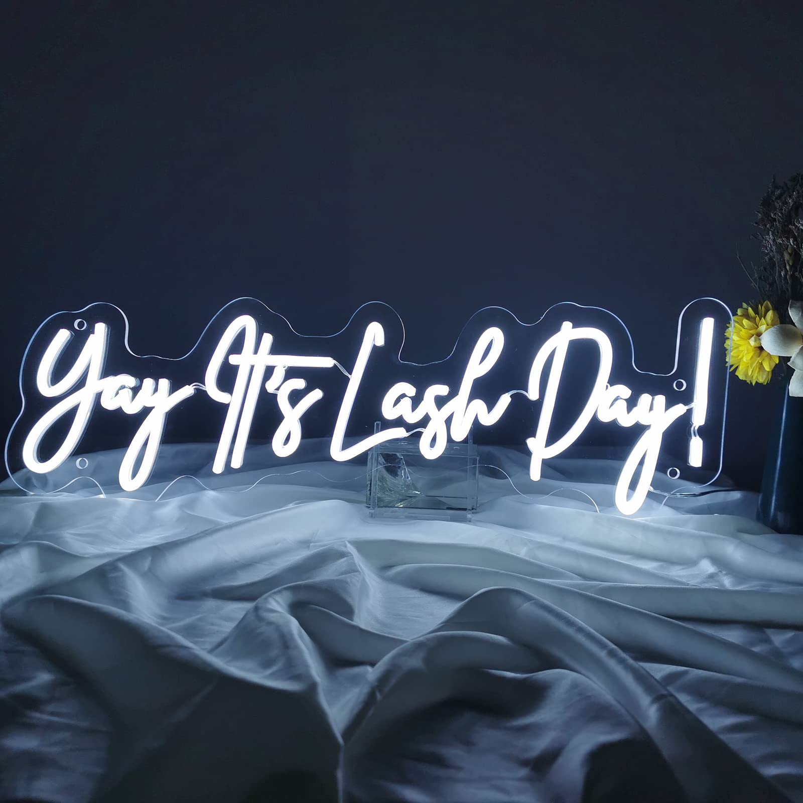 Yay it's Lash Day Neon Sign, Eyelashes Lashes LED Sign Light, Aesthetic ...