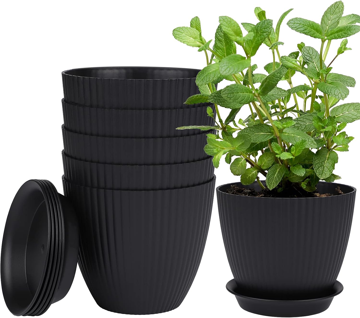 Amazon.com: ADXCO 6 Pack 6 inch Plastic Planters Flower Plant Pot ...