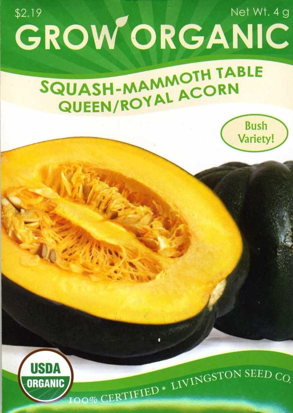 Amazon.com : Squash - Organic Mammoth Table Queen Bush : Fruit Plants ...