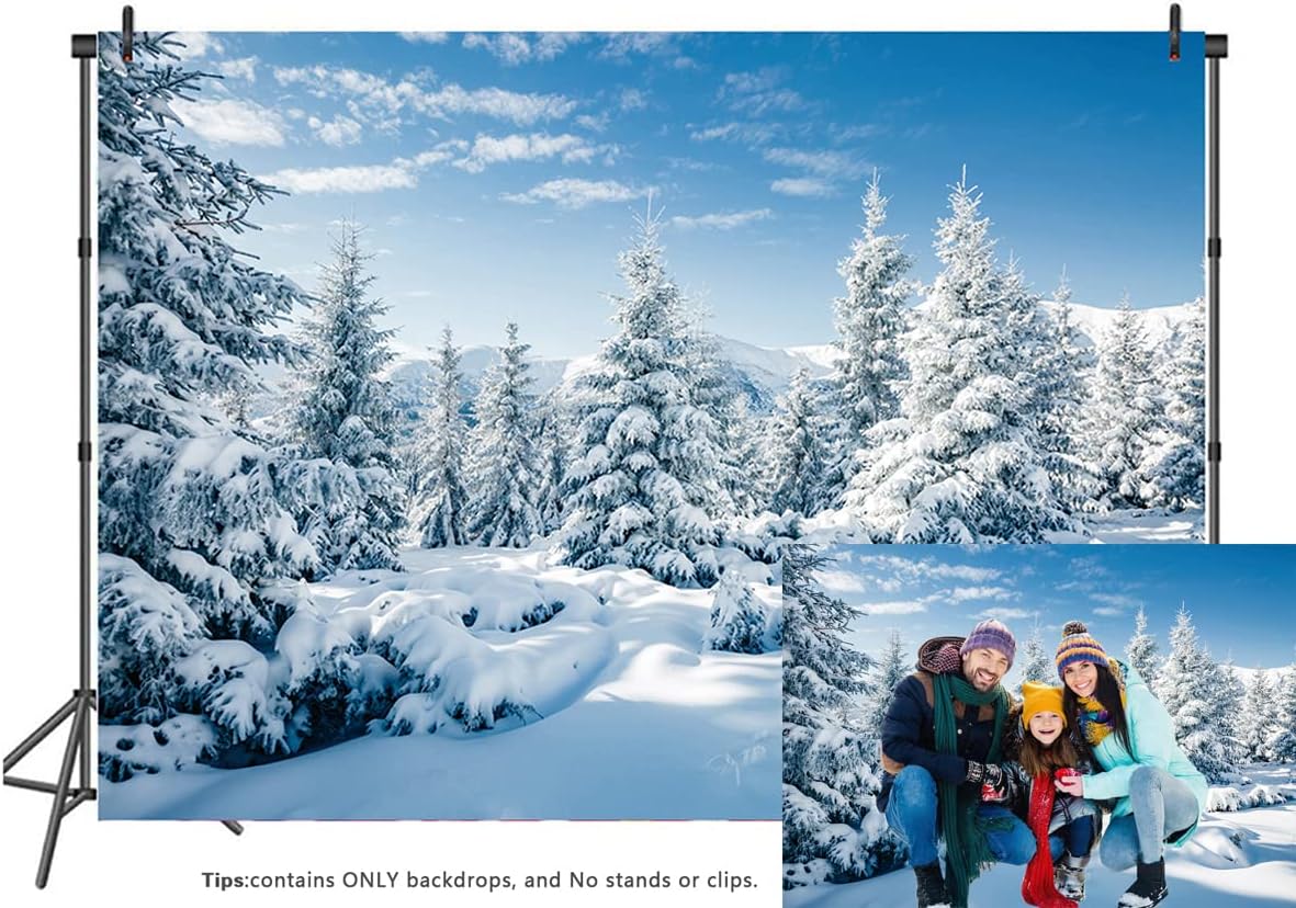 Amazon.com : Funnytree 6 x 6 FT Winter Window Backdrop Snowflakes Snowy ...