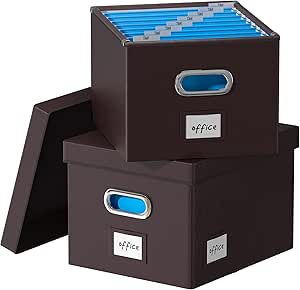 Amazon.com: FAikhom File Organizer Box- Hanging File Boxes with Lids ...