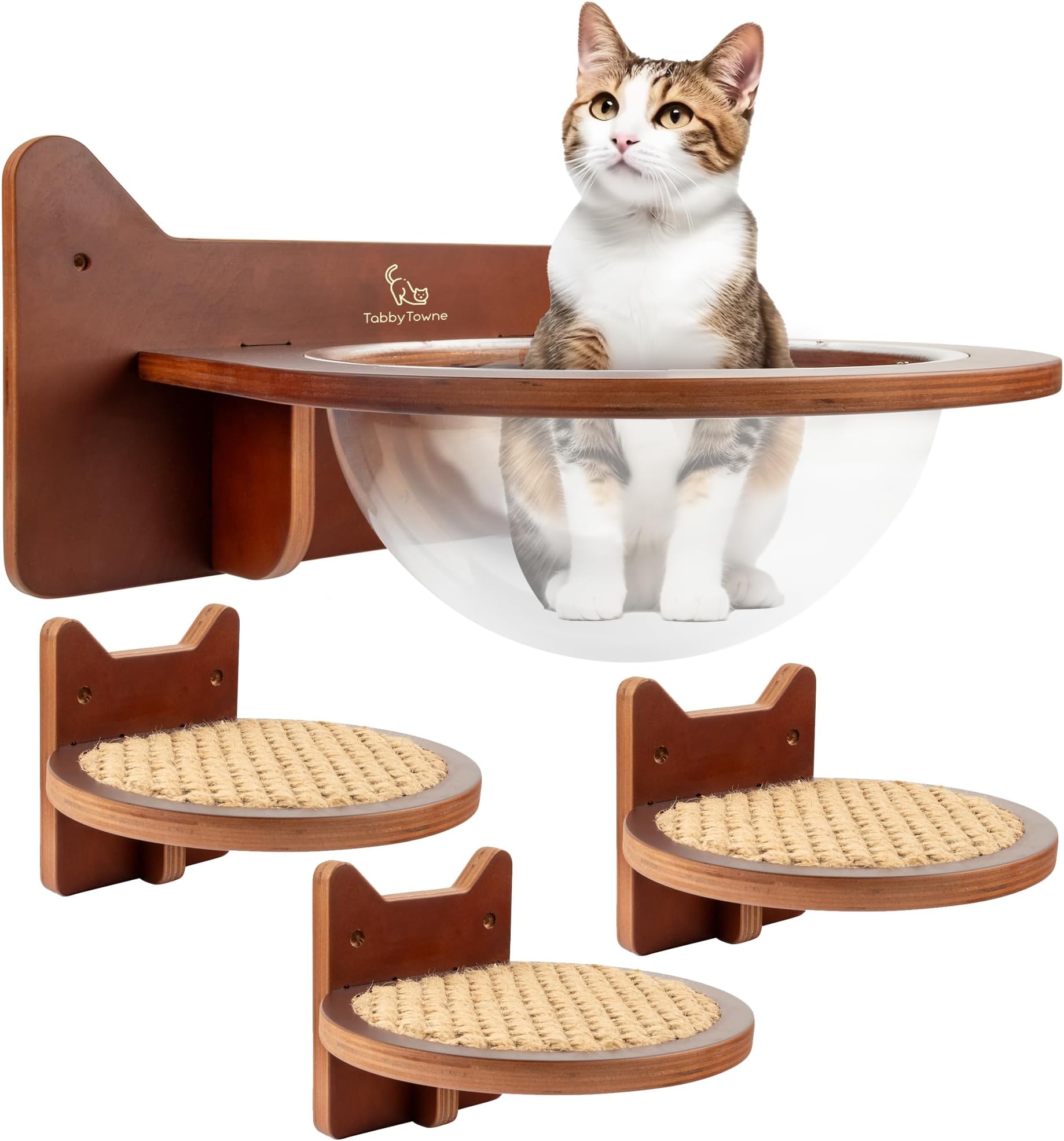 Amazon.com : Wall-Mounted XL Large Cat Bed Furniture Round Space ...