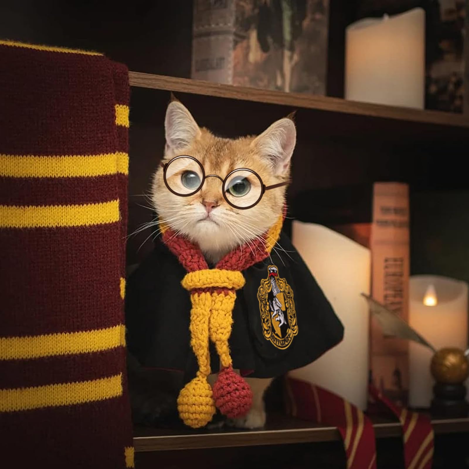 Cats In Harry Potter Costumes