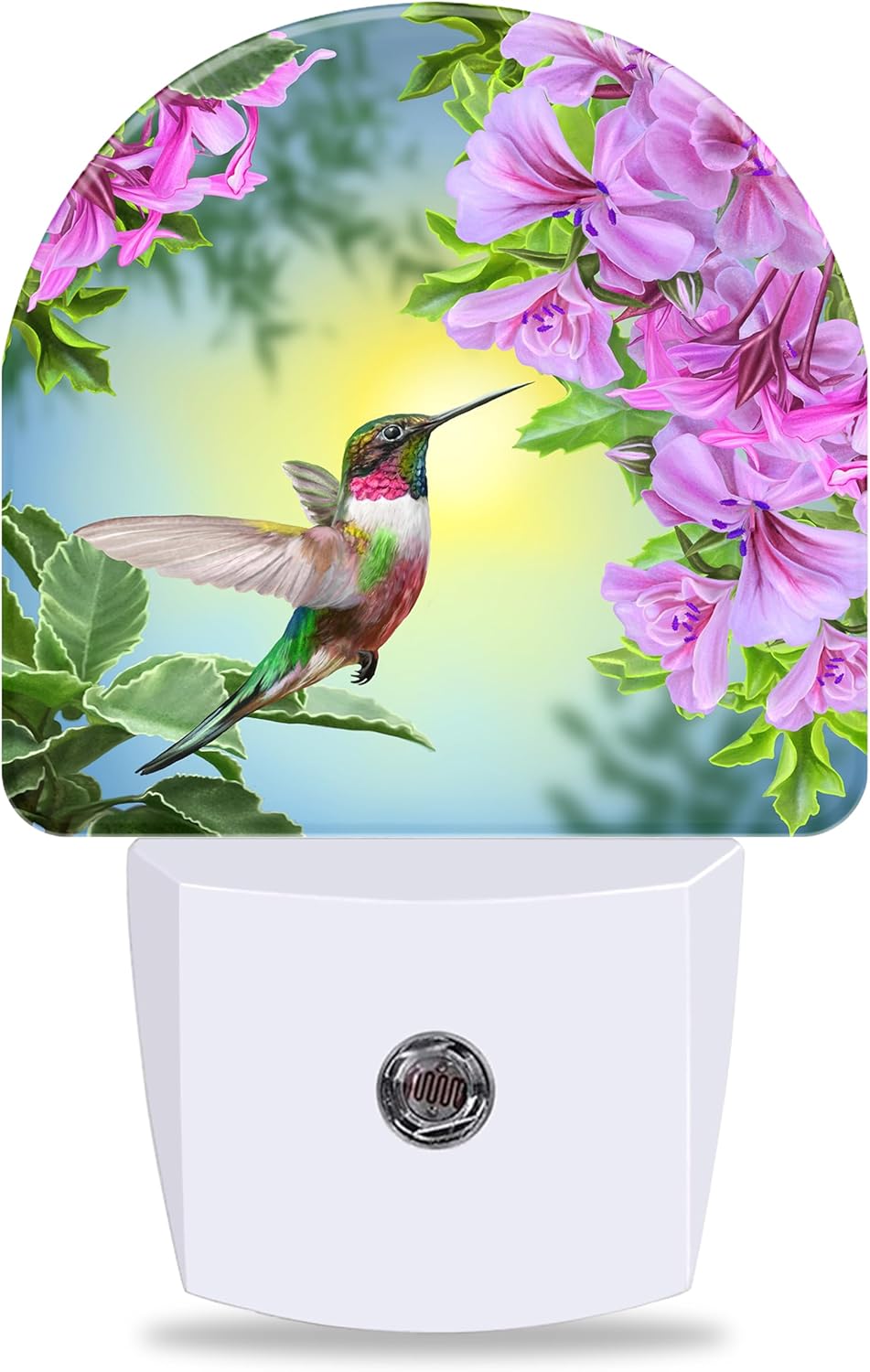 aiwesonec Pink Flowers and Hummingbird Night Lights Plug into Wall for ...