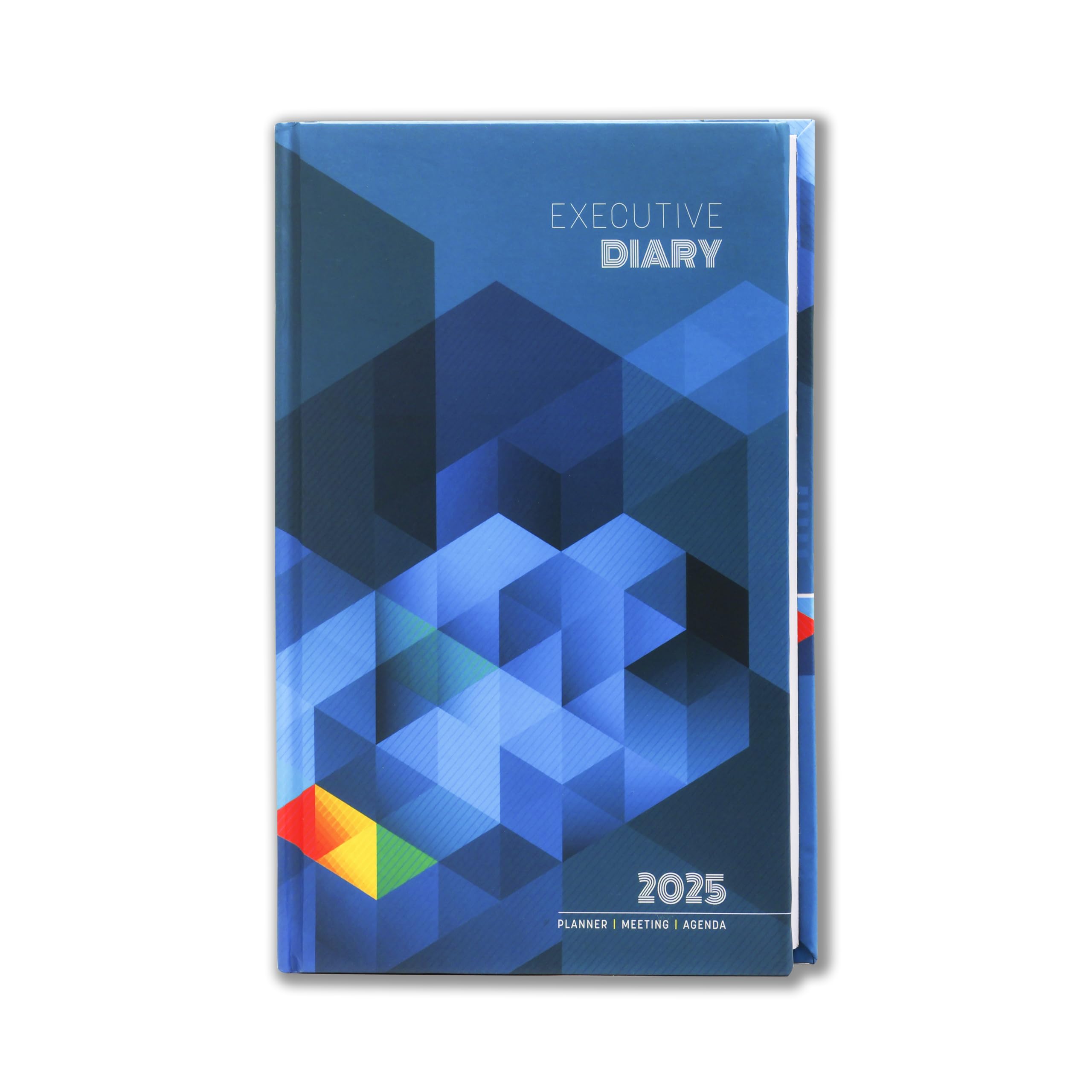 Buy amazon basics New Year Diary 2025 | Dated Diary | 314 Pages ...