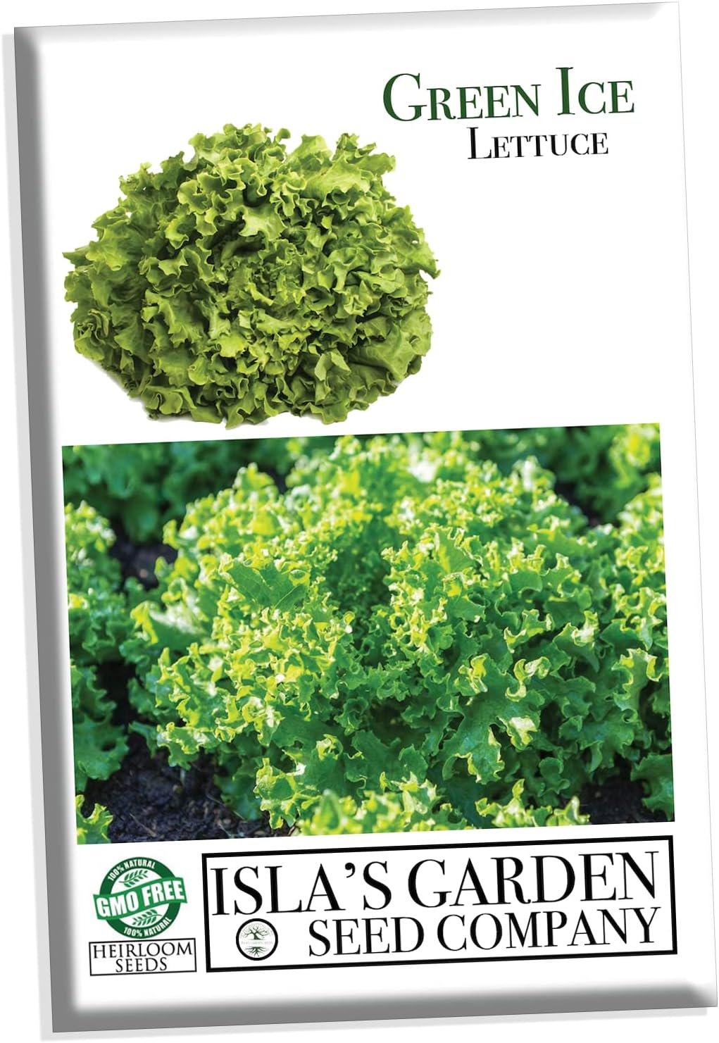 Amazon.com : Green Ice Leaf Lettuce Seeds for Planting, 1000+ Heirloom ...