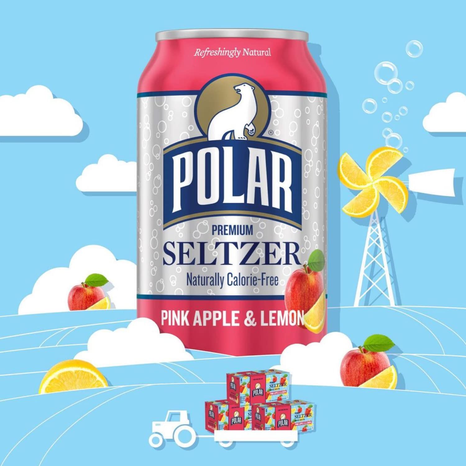 Snapklik.com : Polar Seltzer Water, 12 Flavor Assorted, 12 Fl Oz Cans ...
