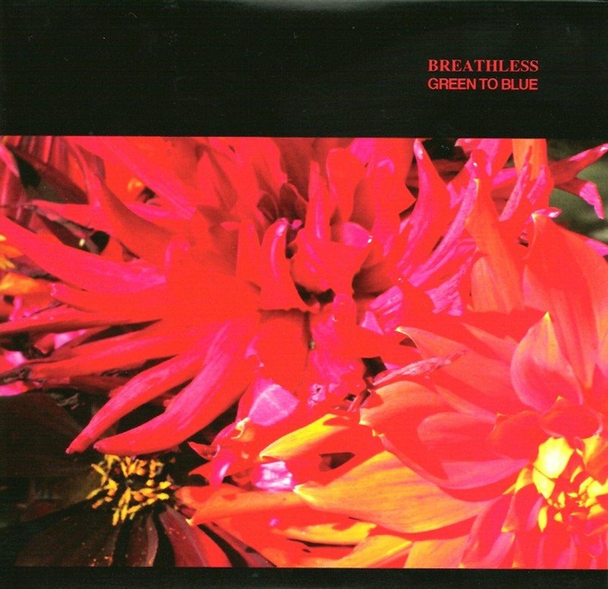 Breathless, Dominic Appleton, Gary Mundy, Greg Foord, Tristram Latimer ...