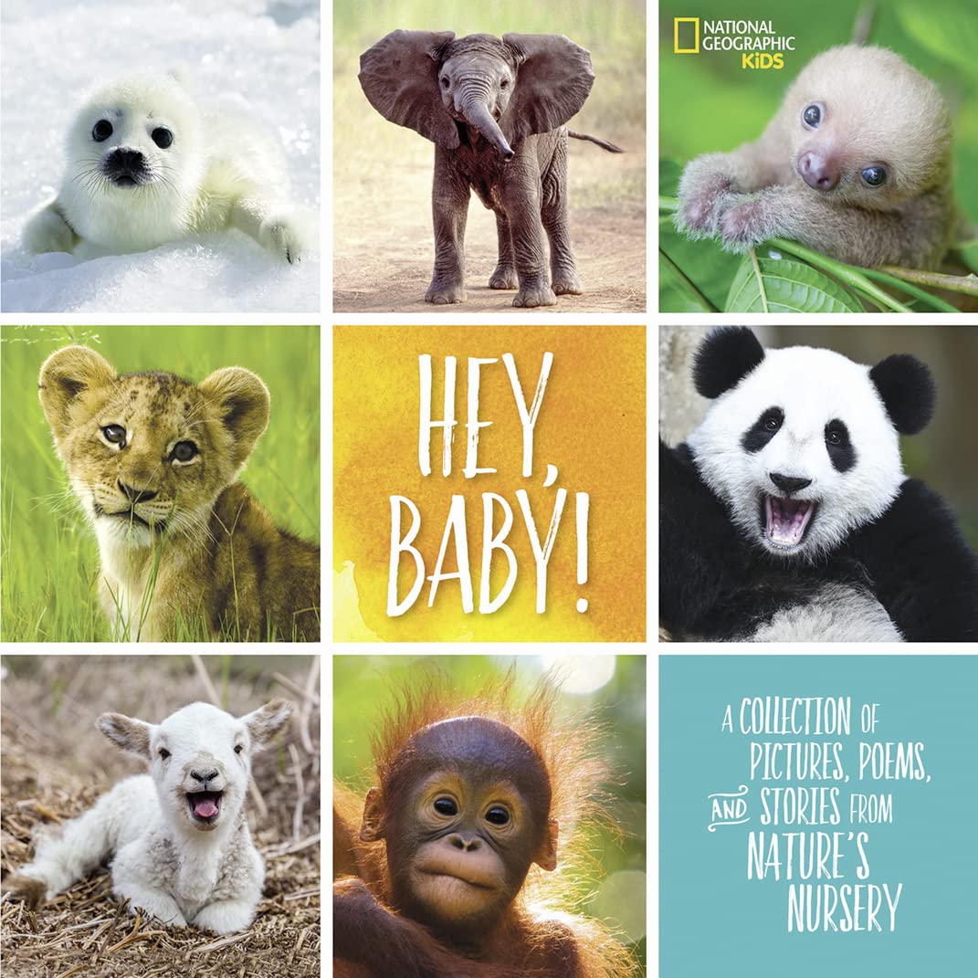 Hey, Baby!: A Collection of Pictures, Poems, and Stories from Nature's ...