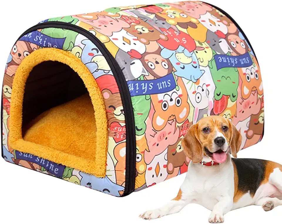 Survival Limits Of Feral Cats In Freezing Temperatures | PetShun