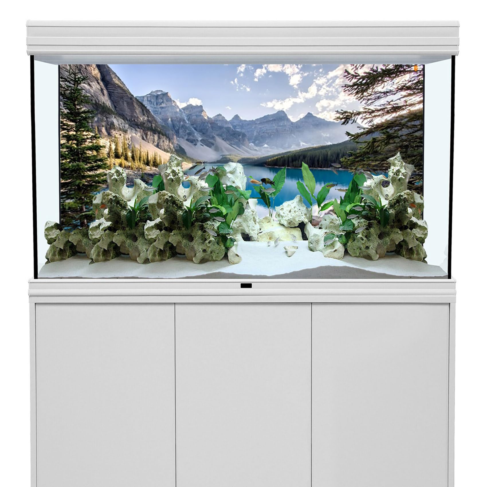 Snapklik.com : Fish Tank Background 36x20 Inch Aquarium Background ...