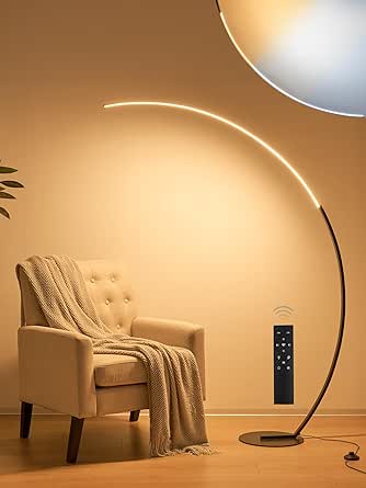 LEDIARY Arc Floor Lamp 65" Modern Standing Lamp with Remote, Black LED ...