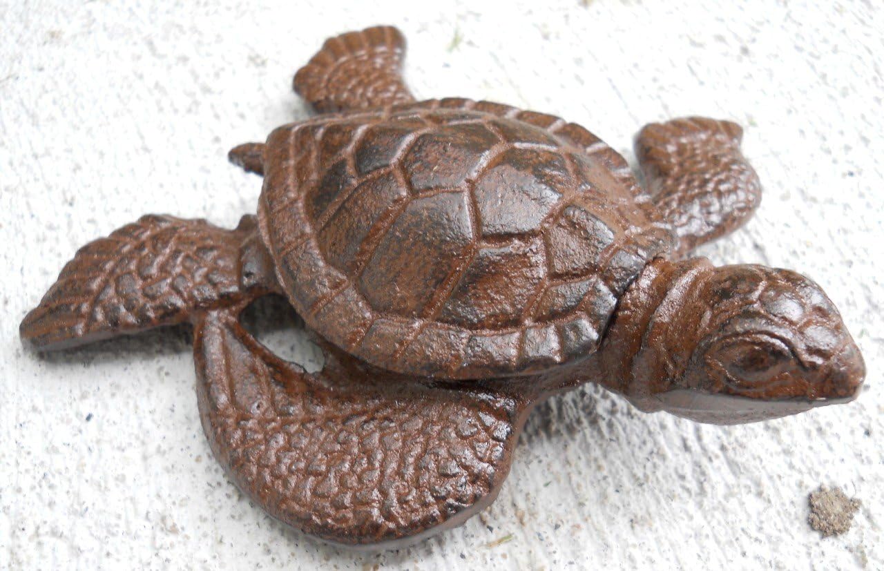 Amazon.com: GSM Sea Turtle Key Box Holder : Home & Kitchen