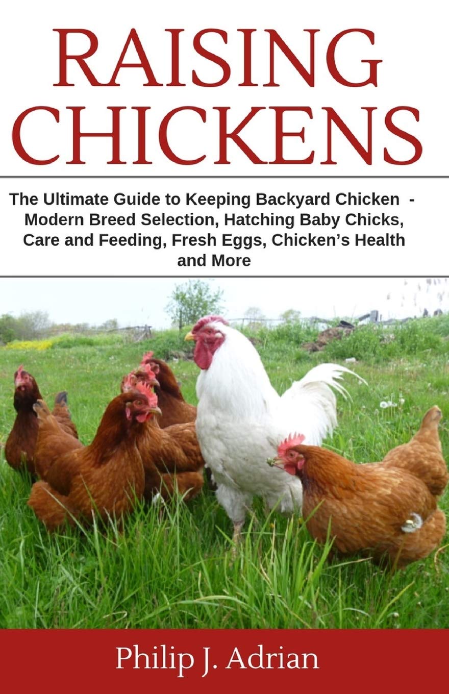 Raising Chickens: The Ultimate Guide to Keeping Backyard Chickens ...