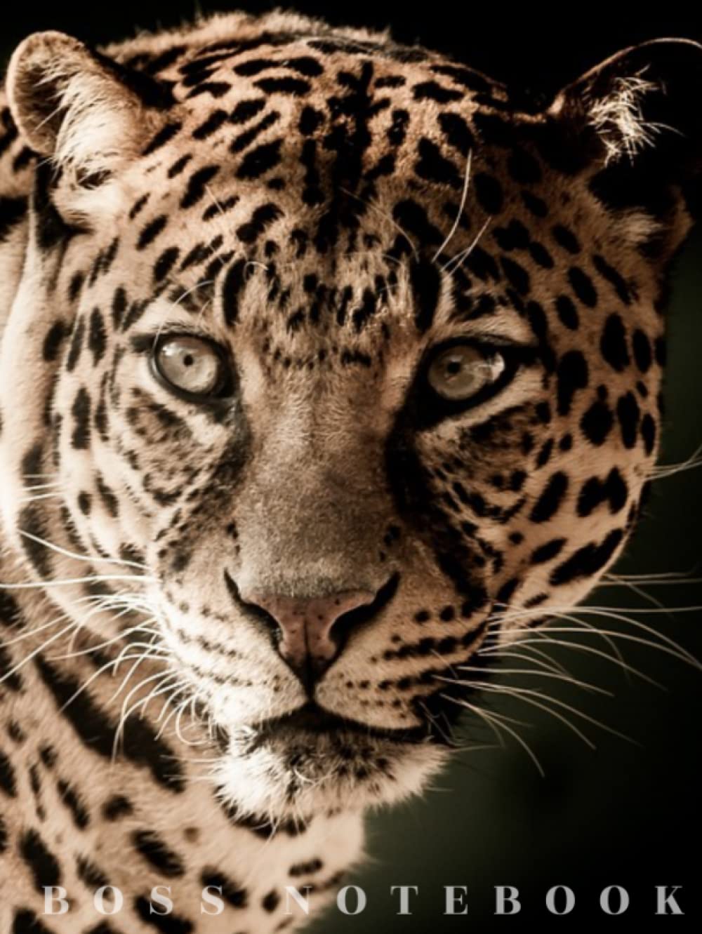 Boss Notebook- Ingwe Mabala: Brainstorm Ideas/ Take Notes/ Write ...