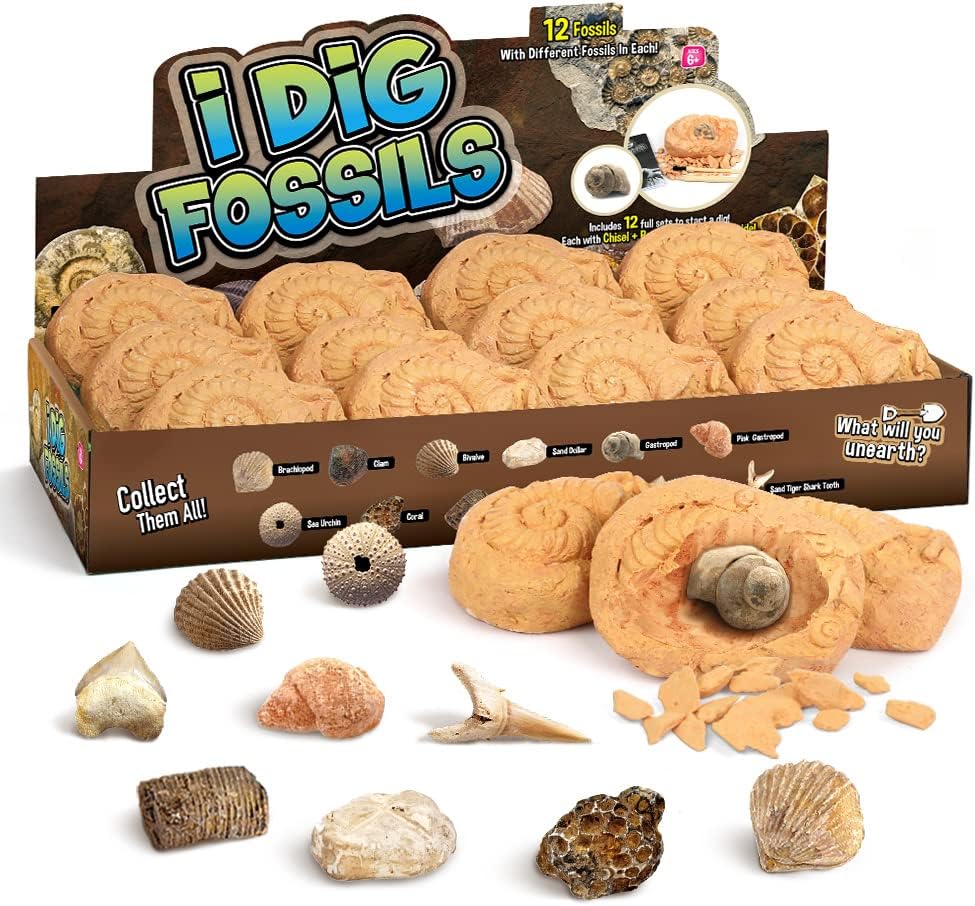 Byncceh Kid's Fossil Digging - Educational STEM Fossils Toys for Kids ...