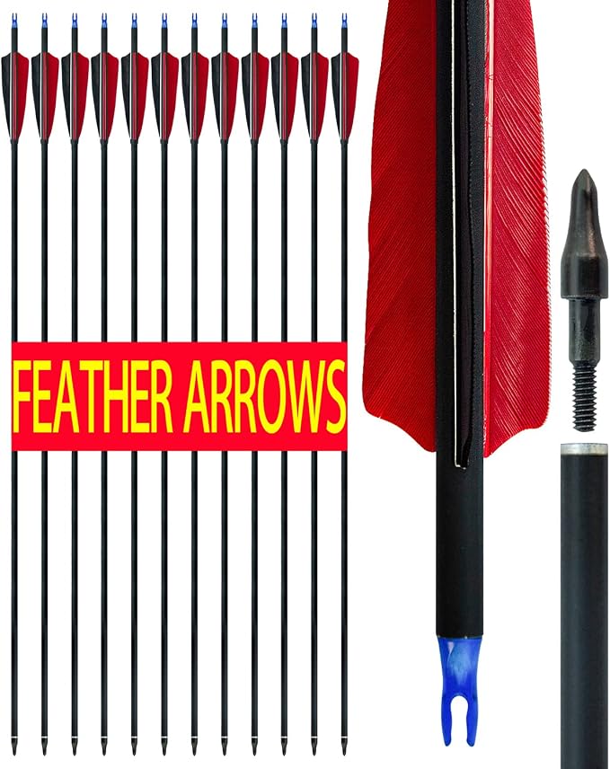 Real Turkey Feather Carbon Arrows 12pcs 31inch Archery Hunting 500 ...