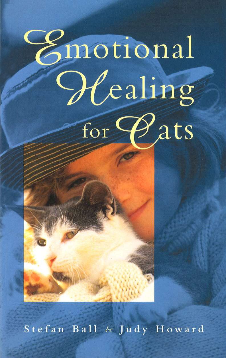 Emotional Healing for Cats: Ball, Stefan, Howard, Judy: 9780852073360 ...