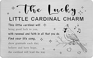 Amazon.com: Laluminter Lucky Little Cardinal Charm Gifts - Cardinal ...