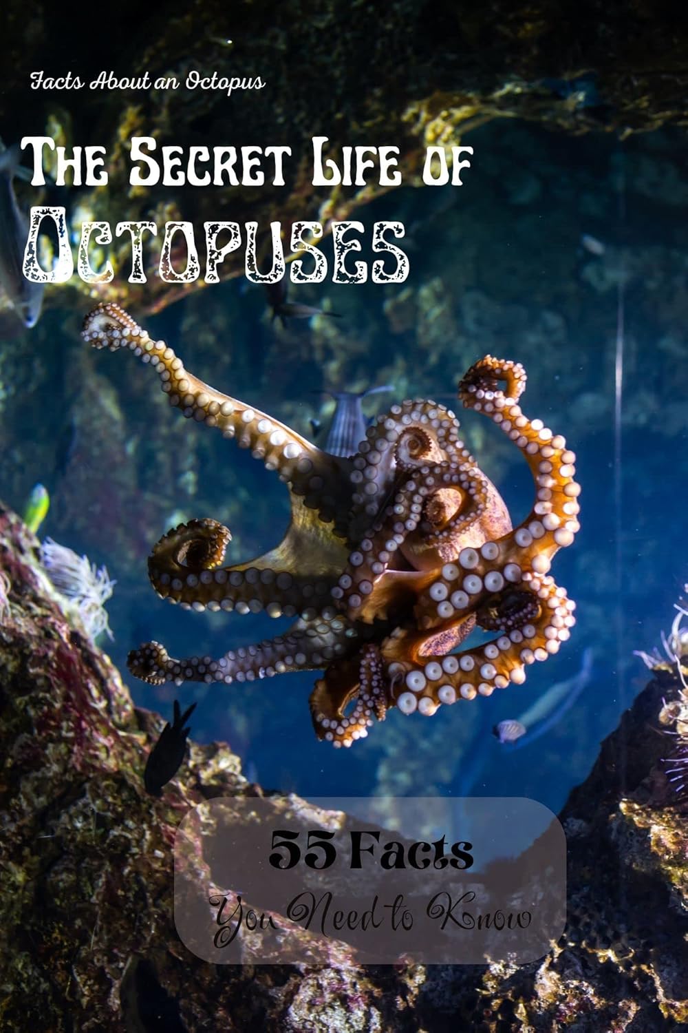 Octopus Facts For Kids Adults All You Need To Know