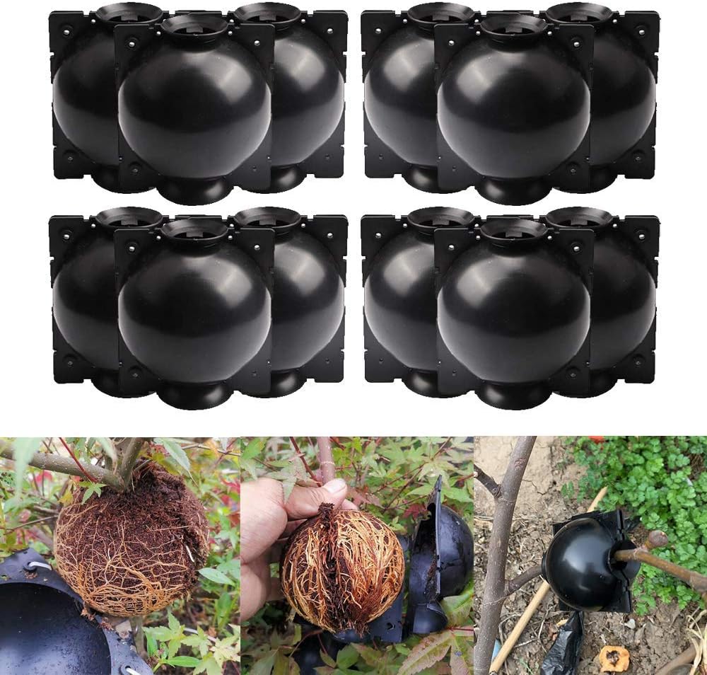 Amazon.com : TOPHORT Reusable Plant Rooting Device 12 PCS Rooting Box ...