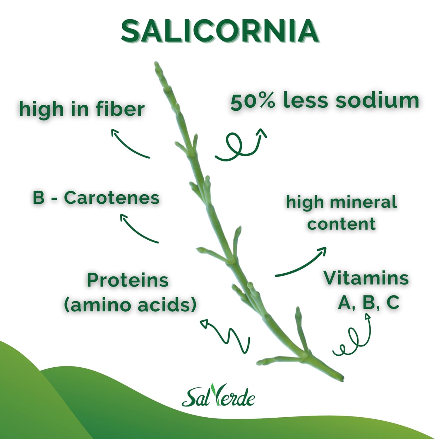 Salt Substitute: Green Salt, 100% Dehydrated Chile | Ubuy