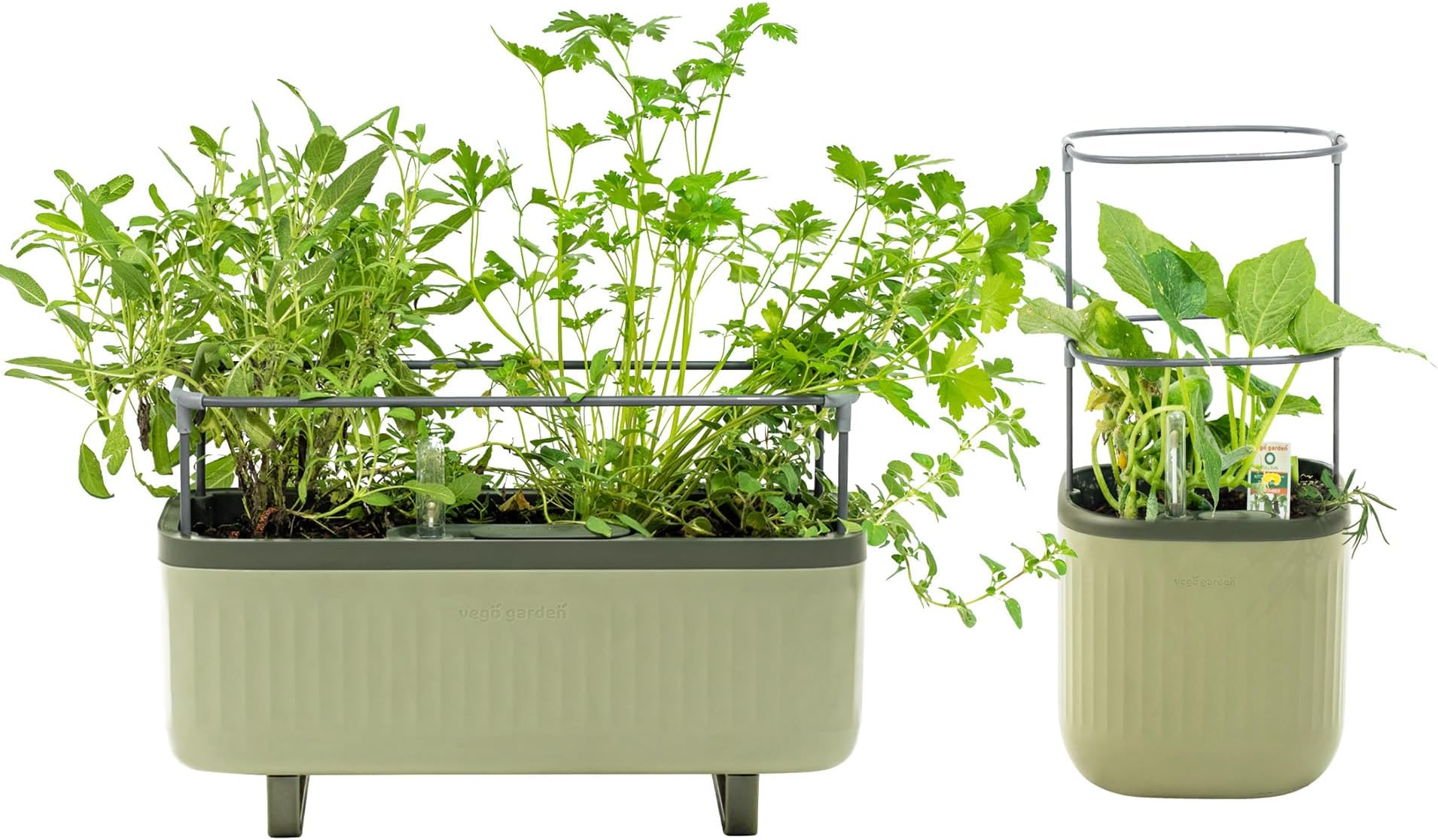 Amazon.com : Vego garden Herb Planter Box with Trellis & Mini Planter ...