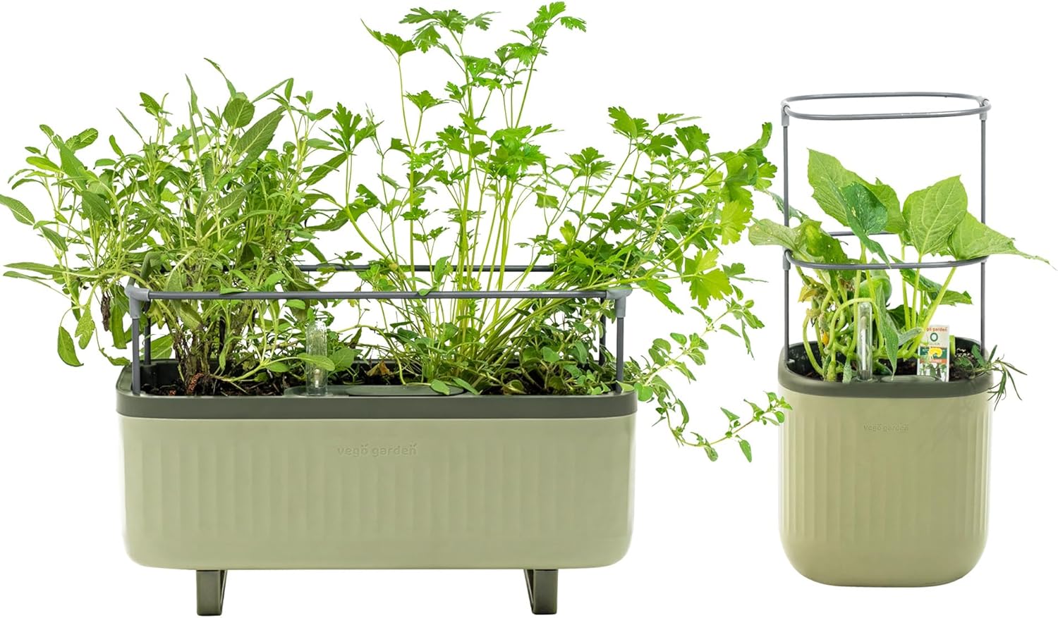 Amazon.com : Vego garden Herb Planter Box with Trellis & Mini Planter ...