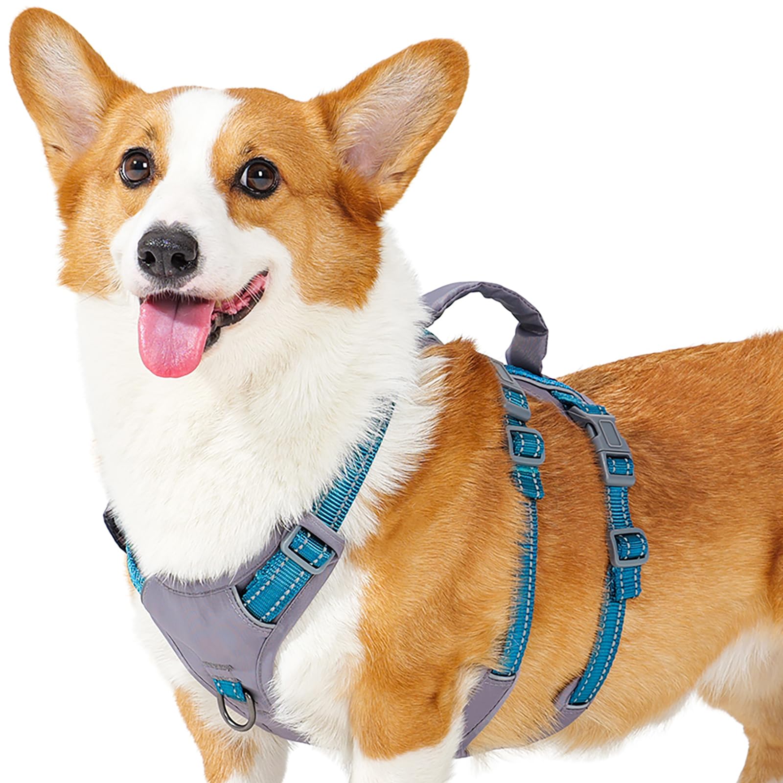 Amazon.com : Huntboo Reflective Dog Harness with Handle, Escape Proof ...