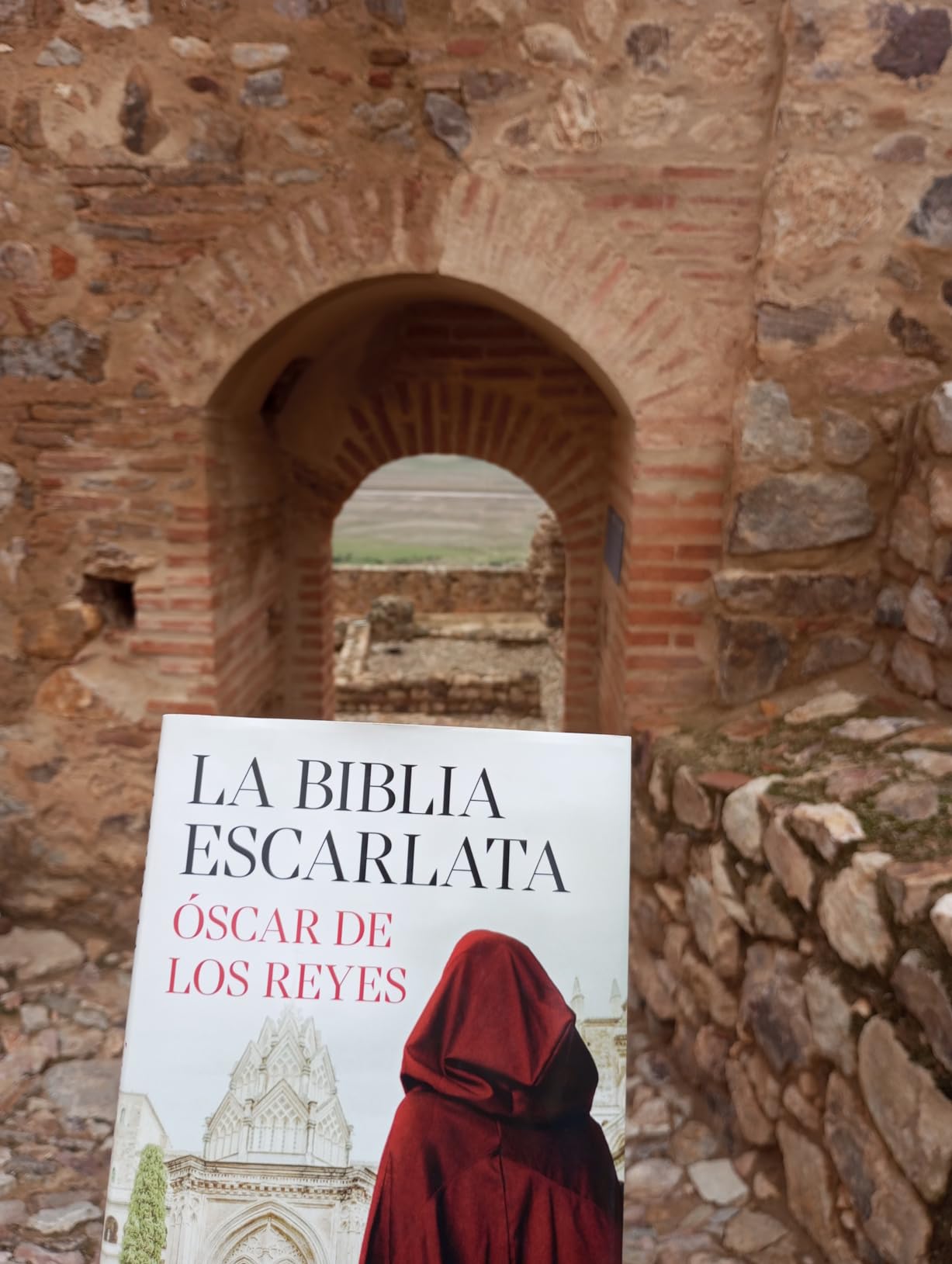 La Biblia escarlata (Histórica) : de los Reyes, Óscar: Amazon.es: Libros