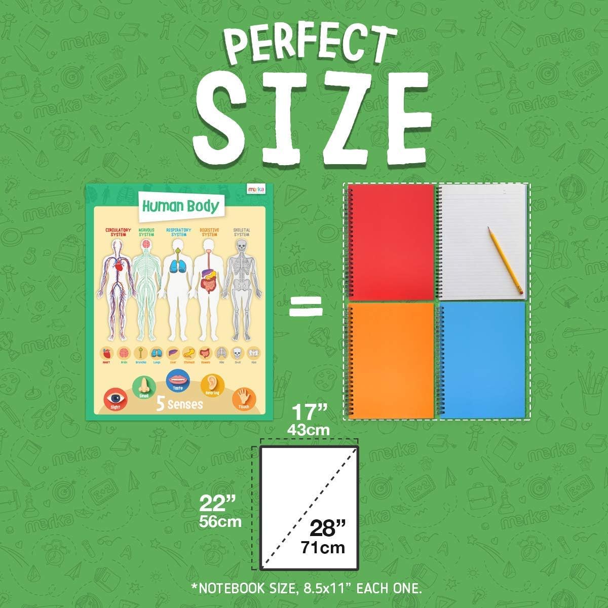 merka Educational Bundle: Classroom Wall Posters (16 Philippines | Ubuy