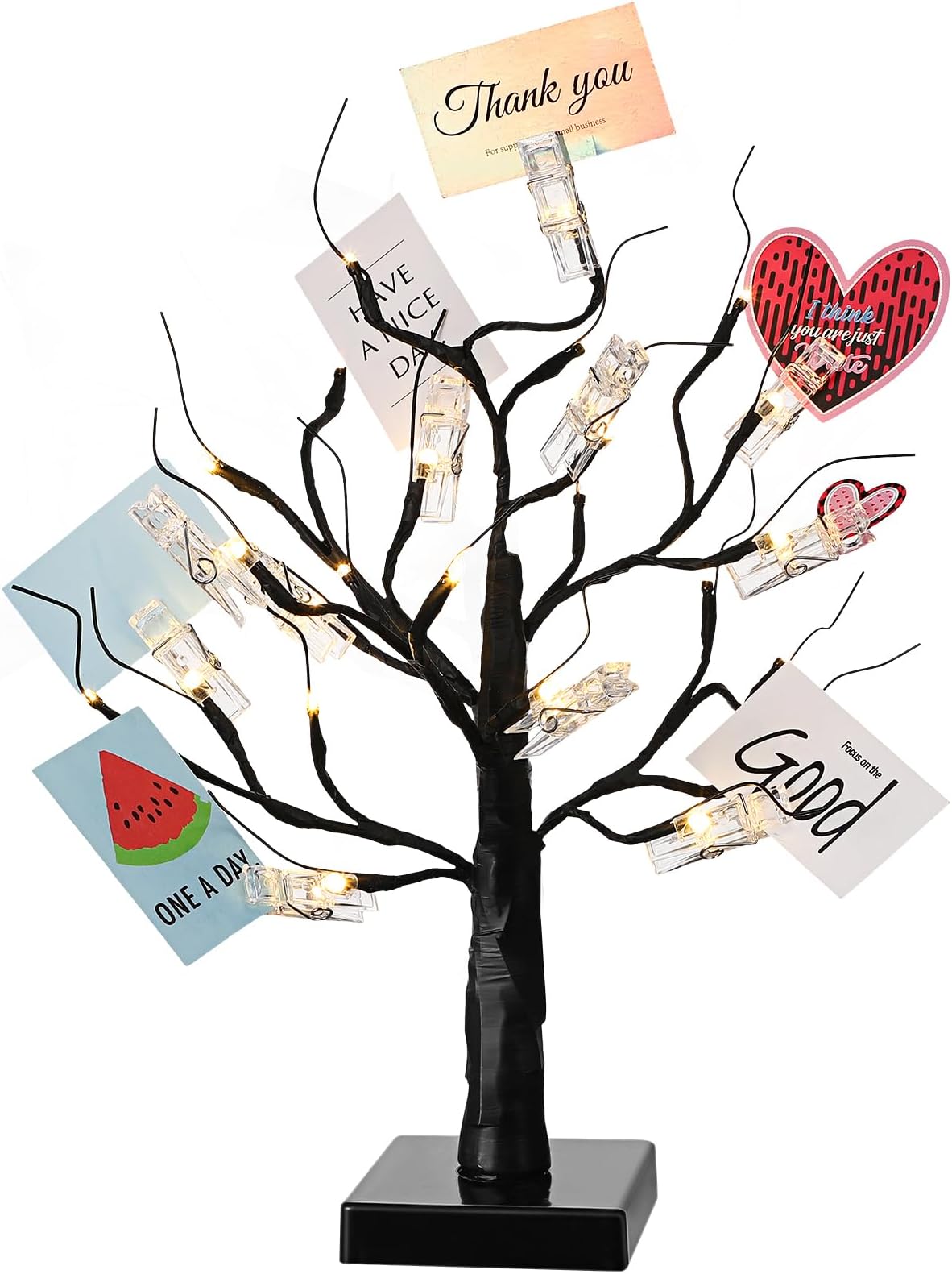 Amazon.com: Money Tree Gift Card Holder - DIY Birch Tree Lamp with 12 ...