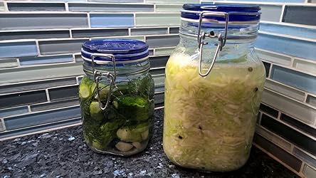 Amazon.com: Masontops Pickle Pebble Glass Fermenting Weights - Pickling ...