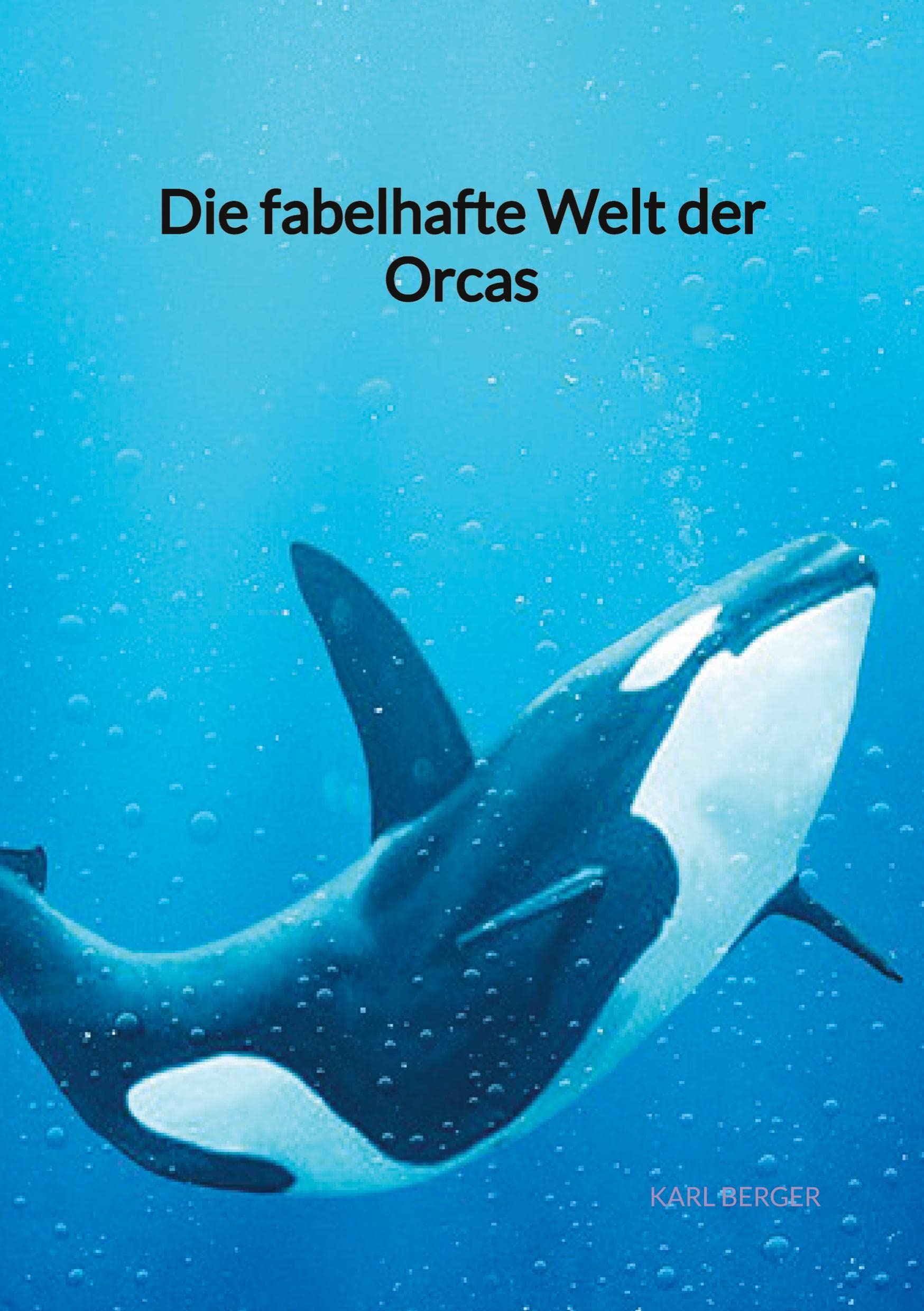 Fabelhafte C 1 0 Ebenbildnull