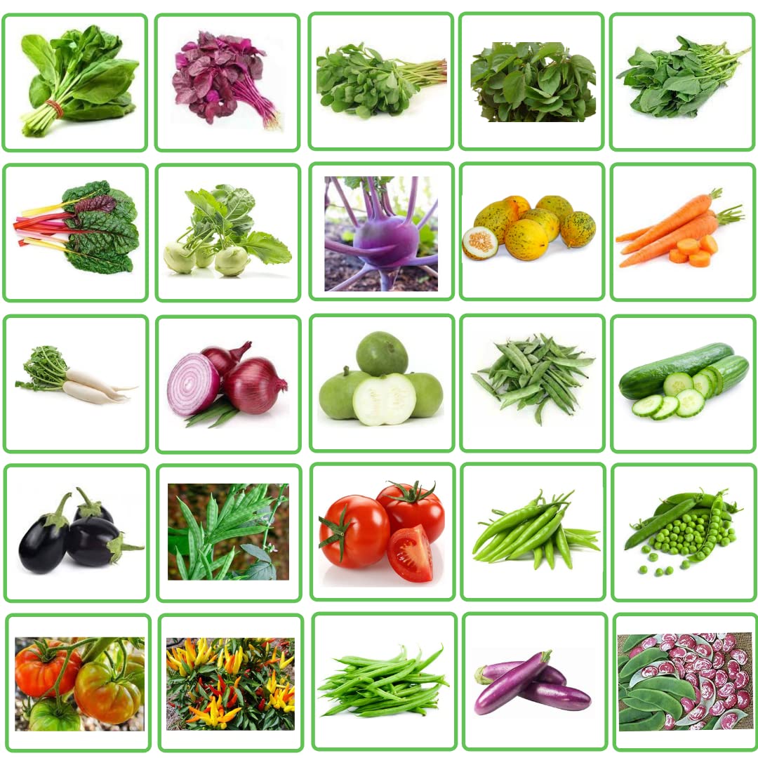 Indian Vegetables Names With Pictures Vegetable Dishes With Gravy