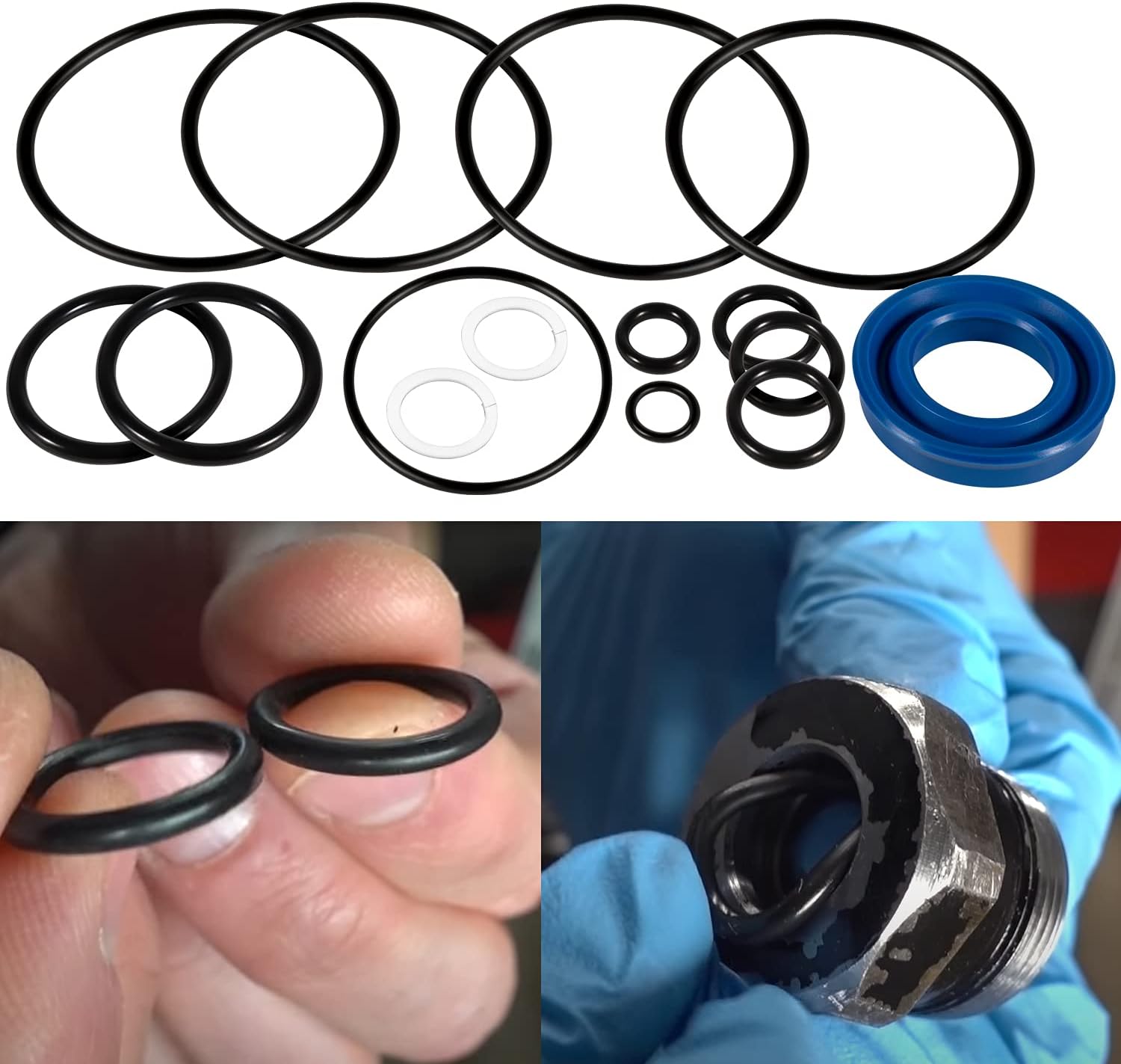 Amazon.com: Seal Replacement Kit for Sears Craftsman Floor Jack - Model ...