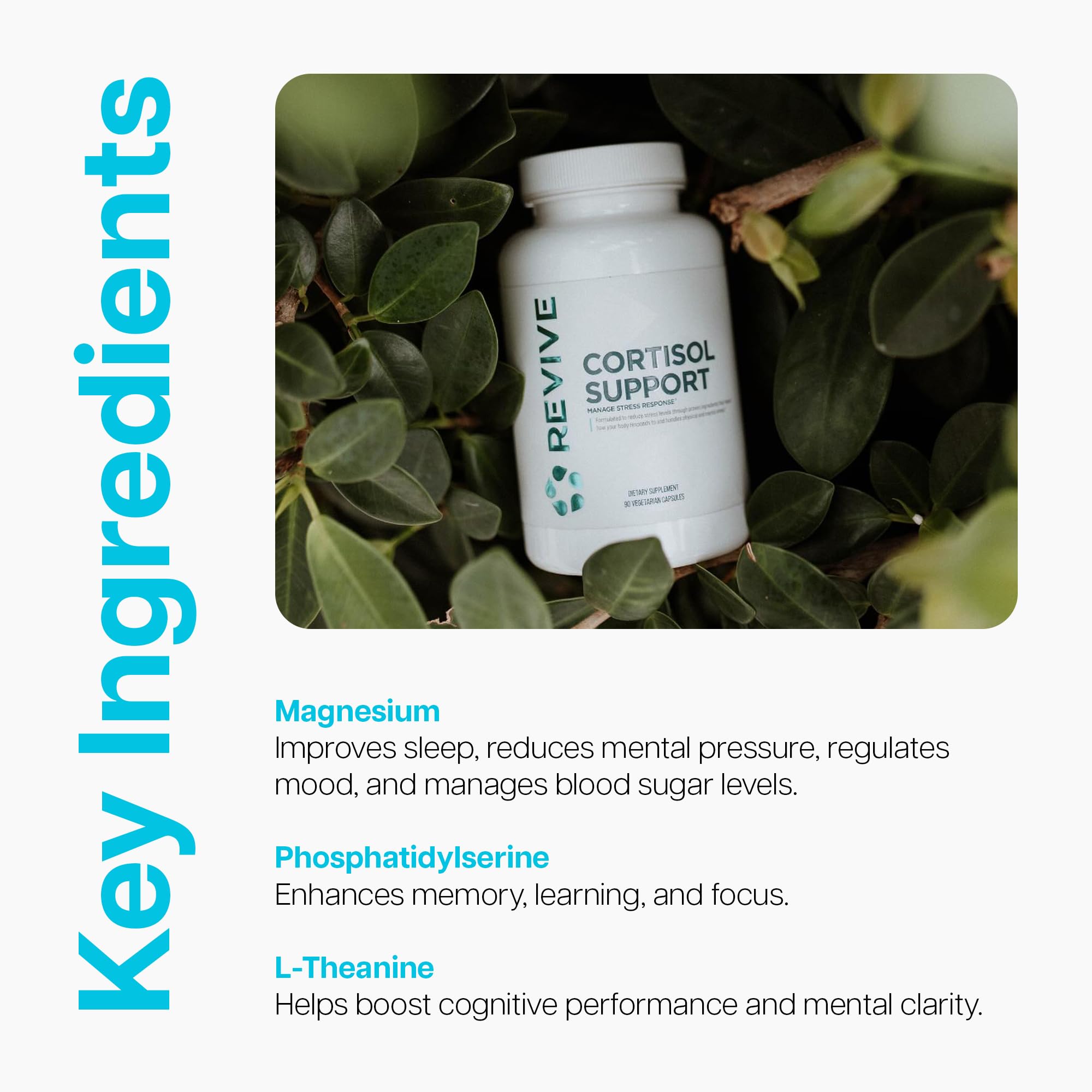 Snapklik.com : Revive MD Cortisol Manager, 90 Vegetarian Capsules ...