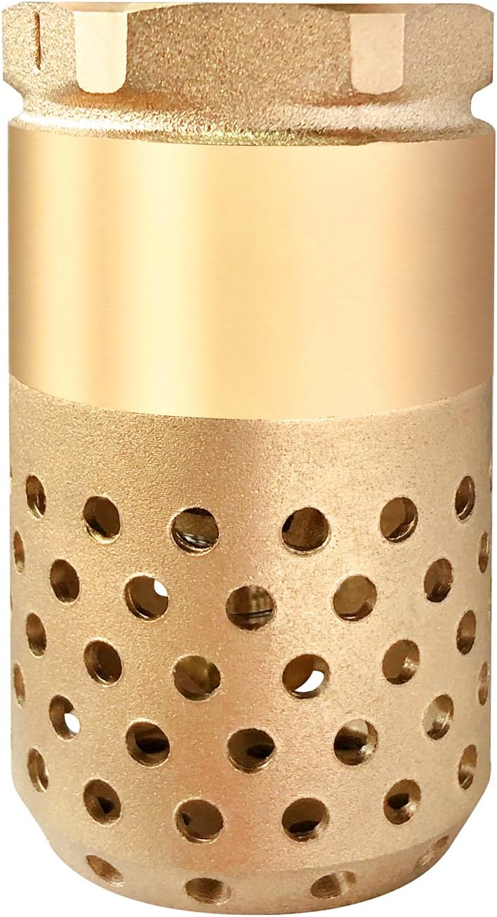Amazon.com: Brass Foot Valve Mesh Check Valve, 1" Vertical Foot Valve ...