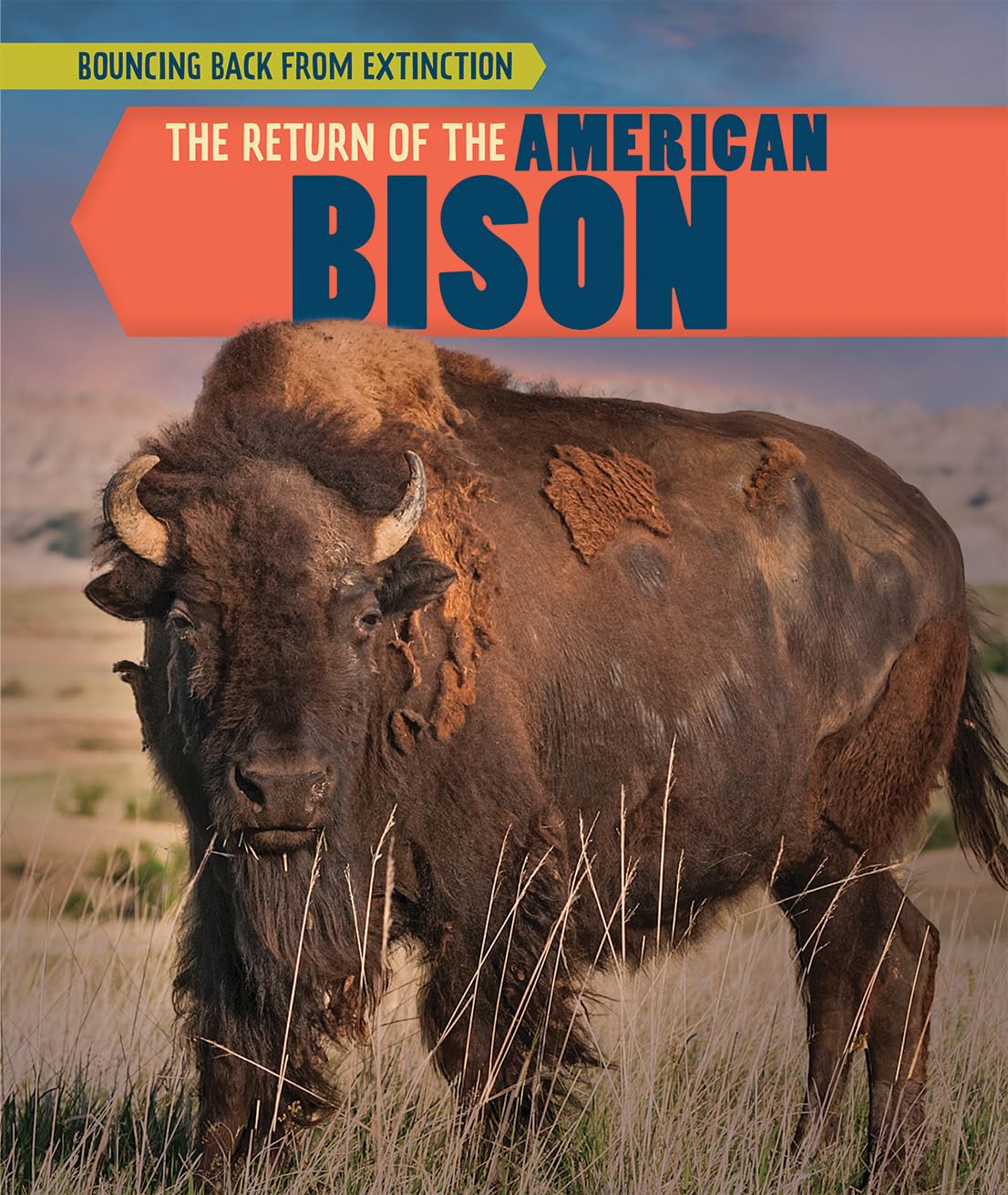 The Return of the American Bison (Bouncing Back from Extinction ...