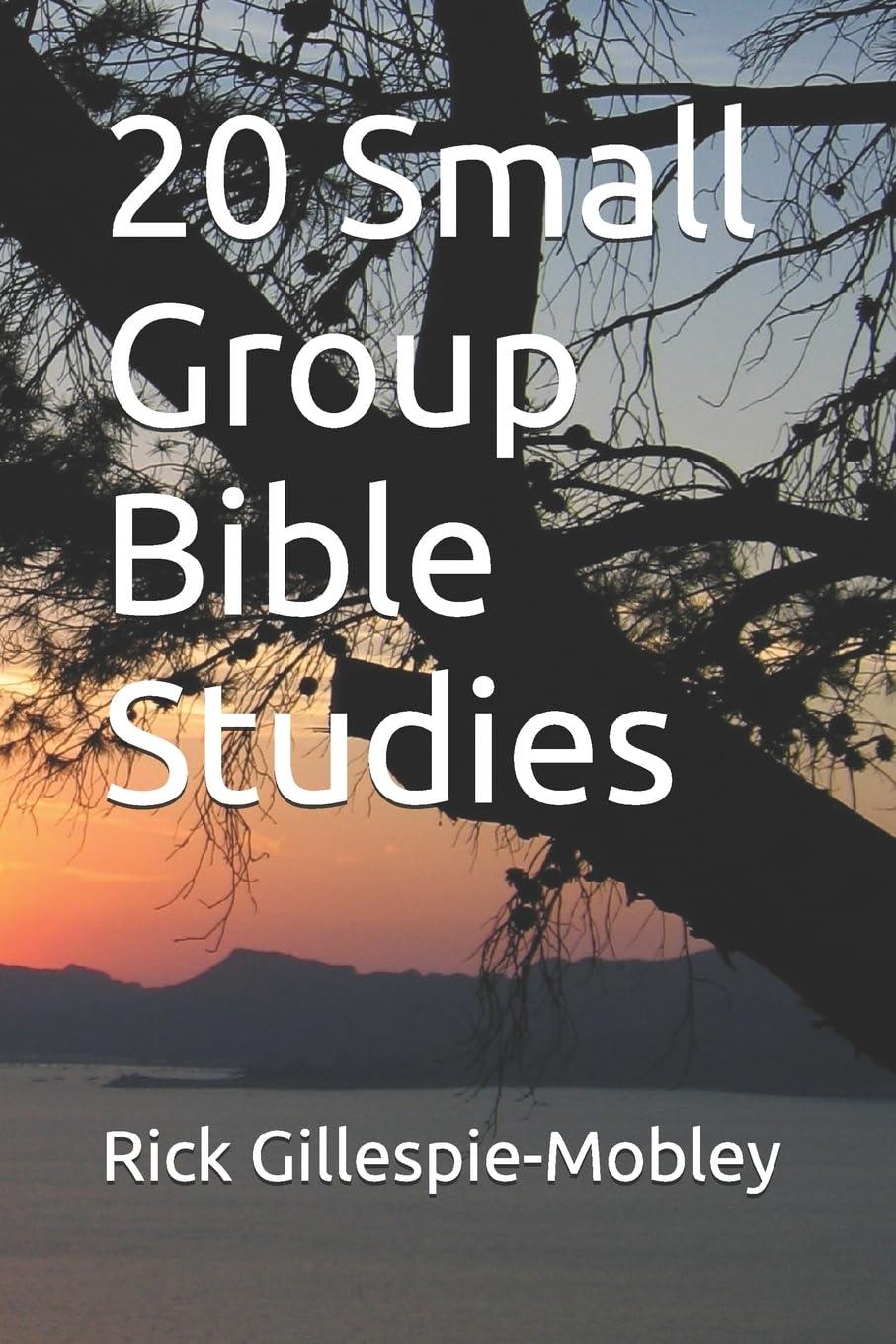 20 Small Group Bible Studies: Gillespie-Mobley, Dr. Rick: 9781520226415 ...