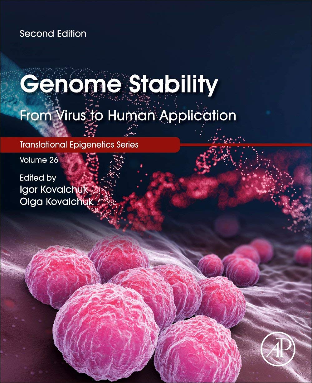 Genome Stability: From Virus to Human Application (Volume 26 ...