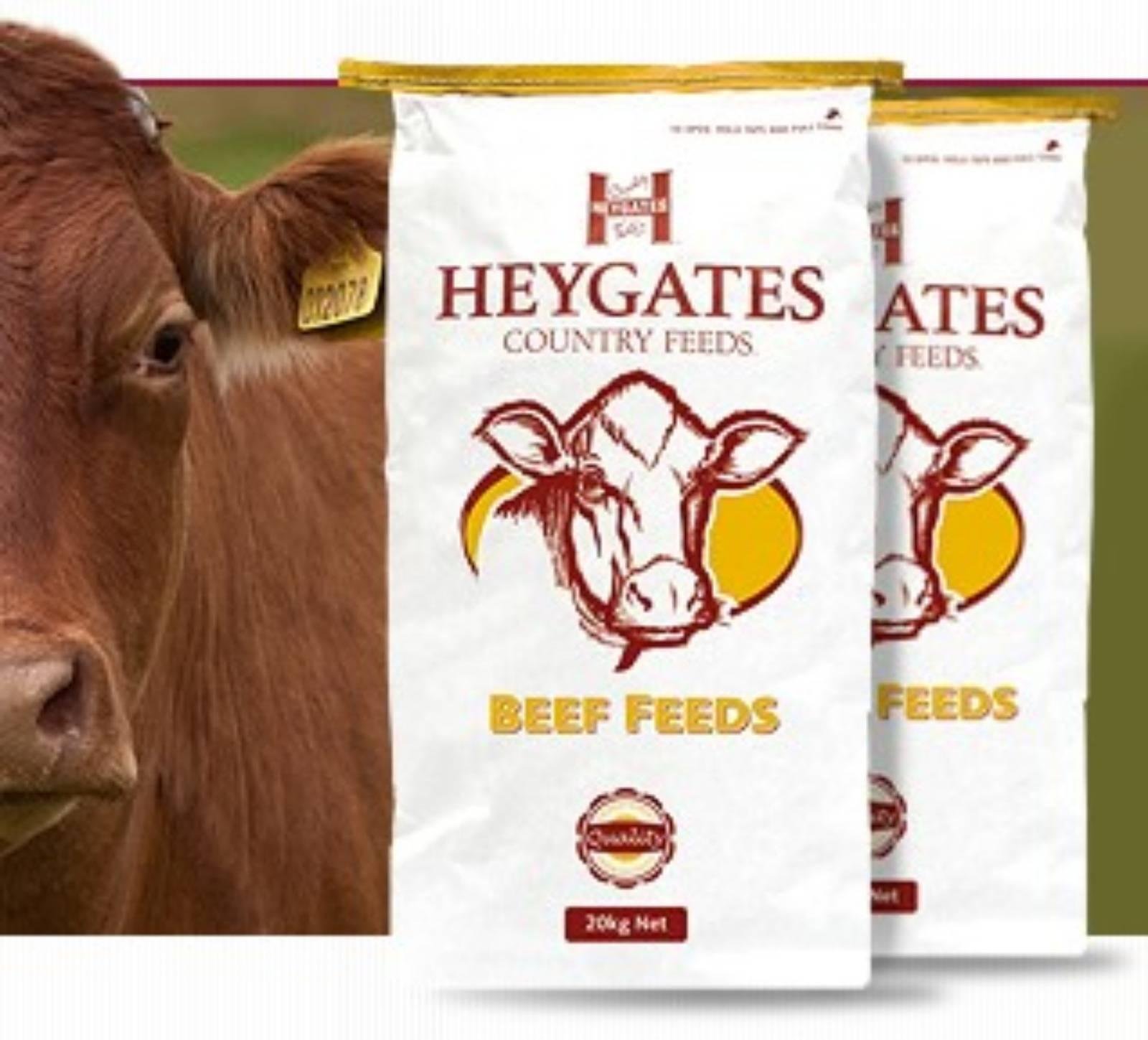 Heygates Super Beef Nuts 20KG : Amazon.co.uk: Pet Supplies