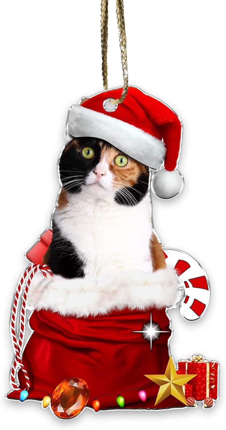 Amazon.com: Calico Cat Christmas Acrylic Ornament – Customizable Flat ...