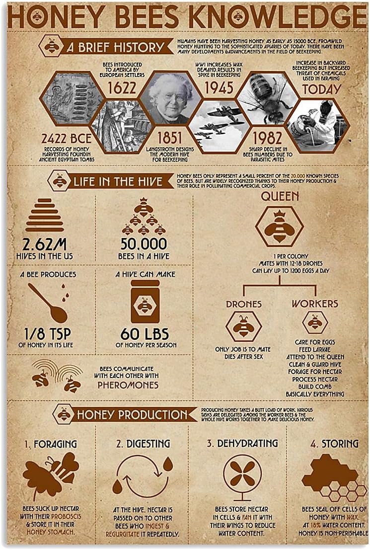 Amazon.com: Honey Bees Knowledge Metal Tin Signs Honey Production Retro ...