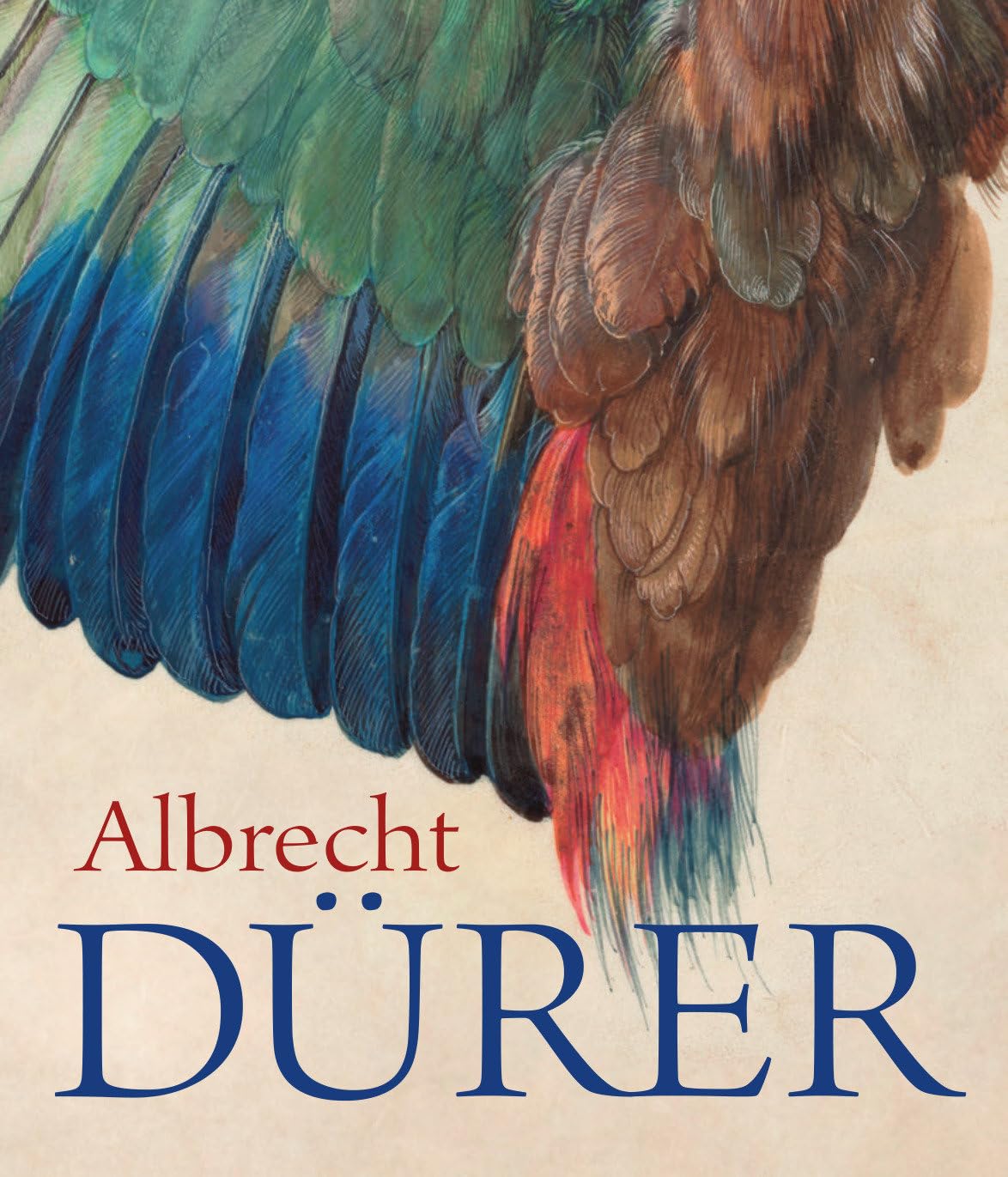 Albrecht Dürer : Metzger, Christof: Amazon.ca: Books