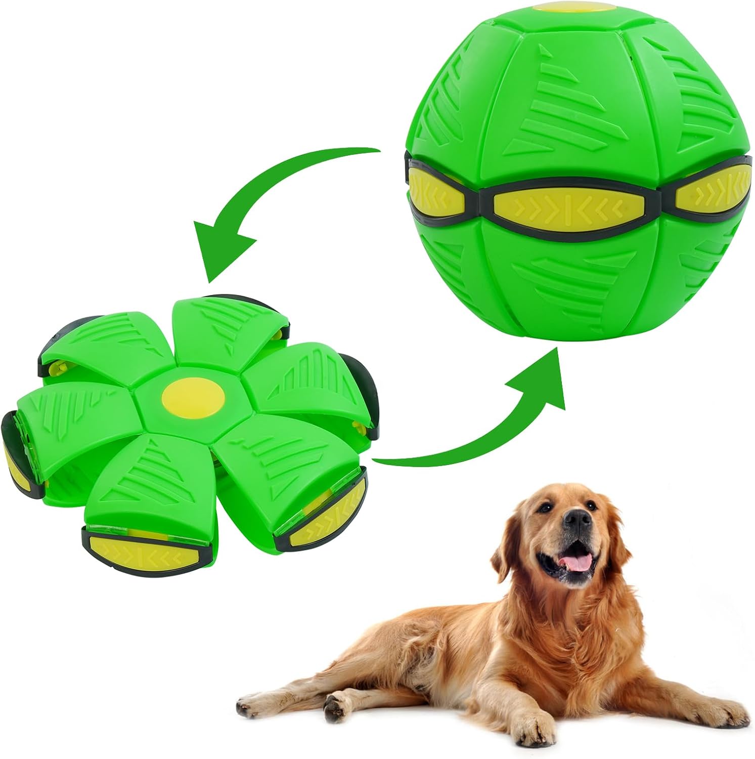Pet Supplies : Allroaring Pet Toy Flying Saucer Ball for Dogs, Magic ...