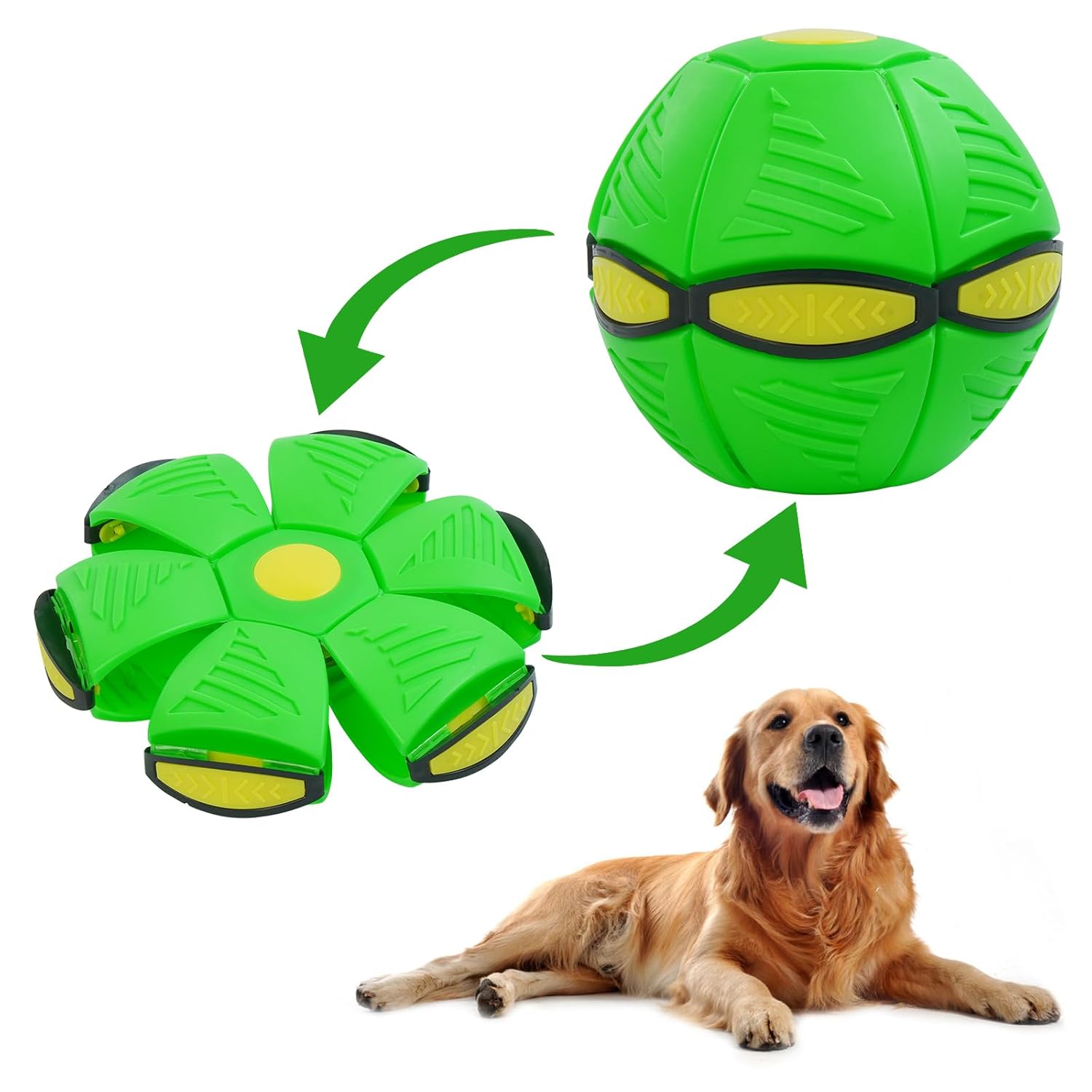 Buy Allroaring Pet Toy Flying Saucer Ball for Dogs, Magic UFO Ball for ...