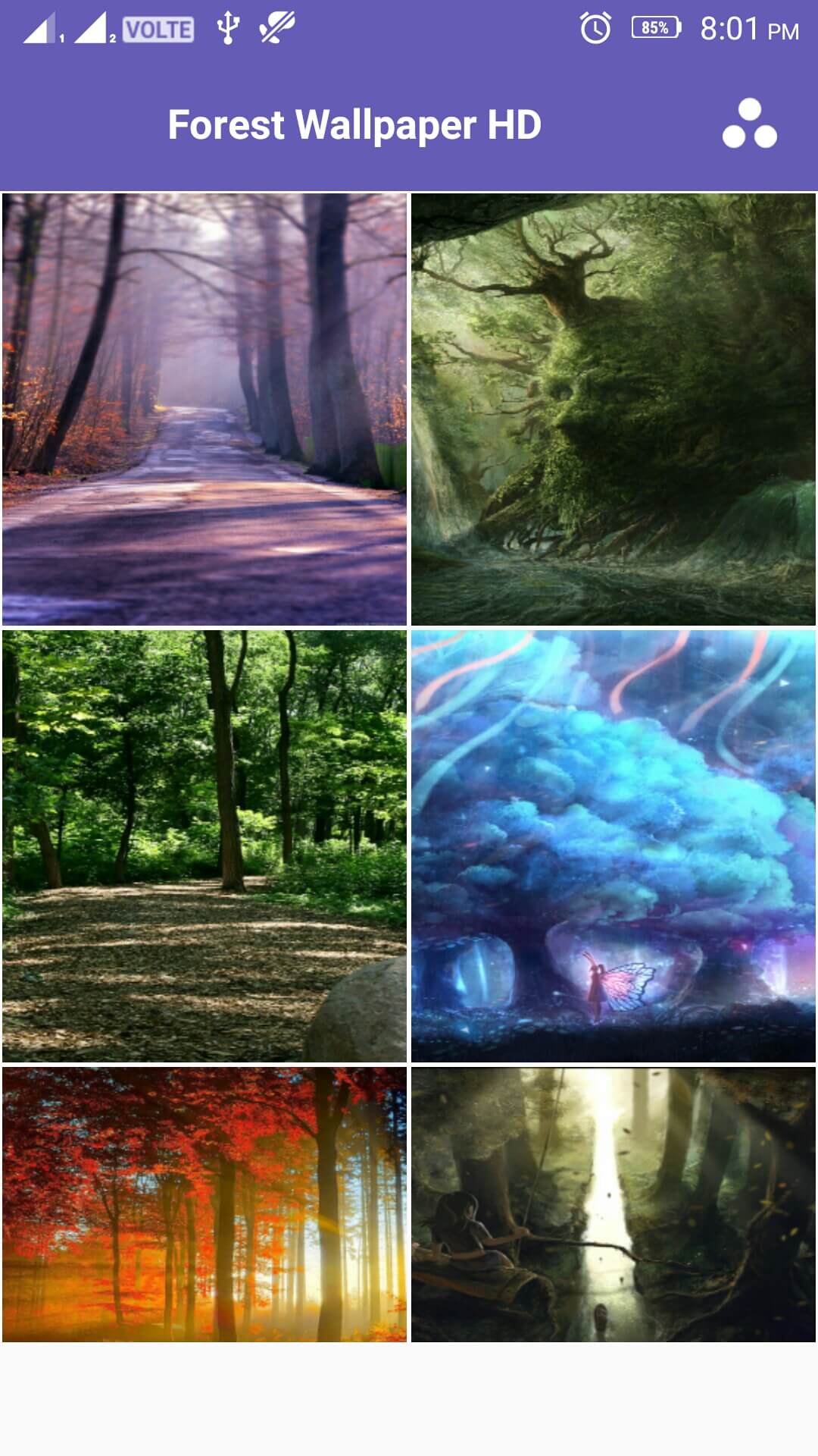 Forest 4K Wallpaper - App on the Amazon Appstore